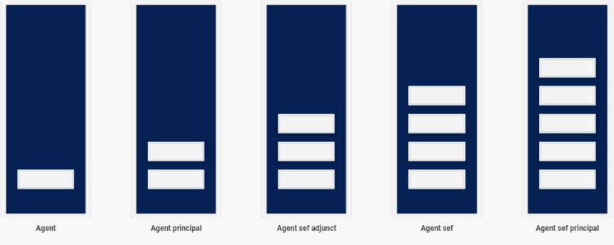 Gradele și promovarea în cadrul Poliției Române - Lifezone.ro