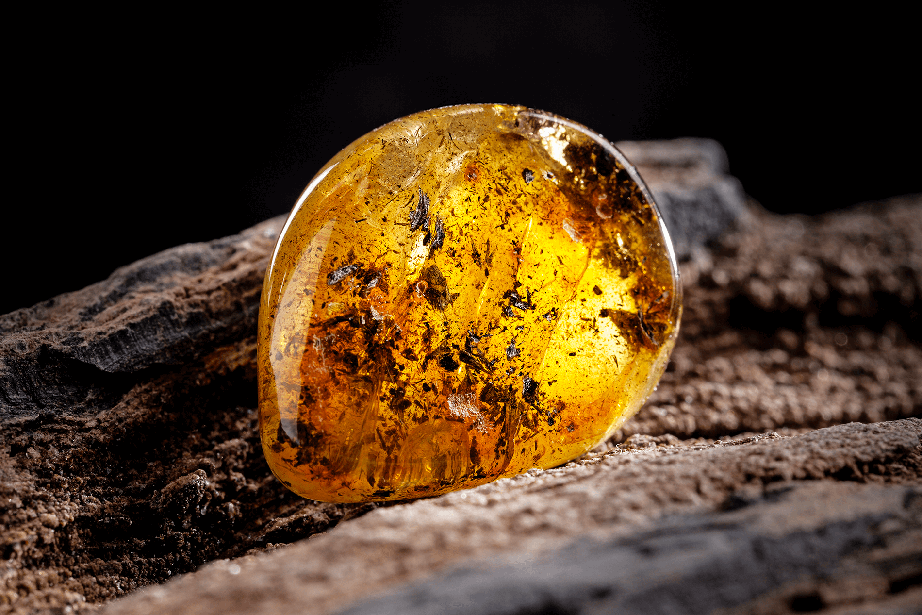 Ce este ambra, la ce se folosește și de ce e atât de scumpă? - Lifezone.ro